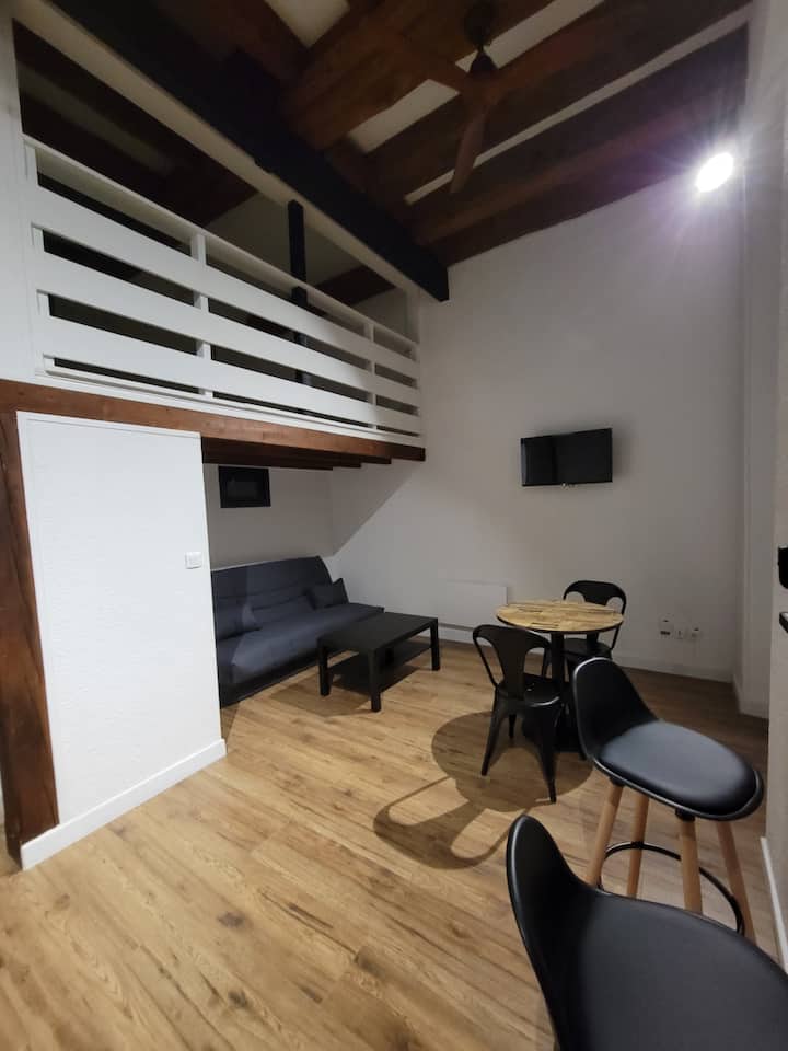 Charmant F2 Atypique Entièrement Rénové - Nîmes