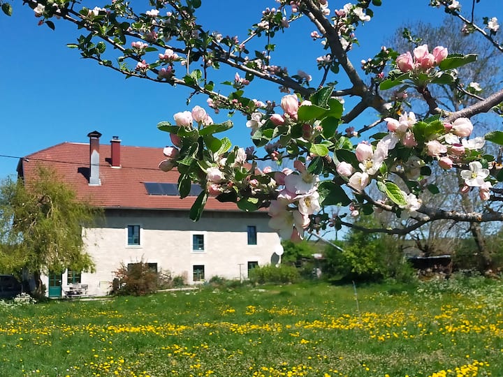 Gîte Du Cotay Dans Ferme Isolée - Doubs