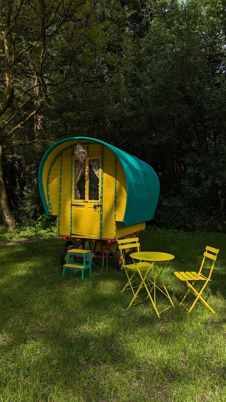 Gypsy Wagon + Yurt By Swimming Pond On Eight Acres - Chard