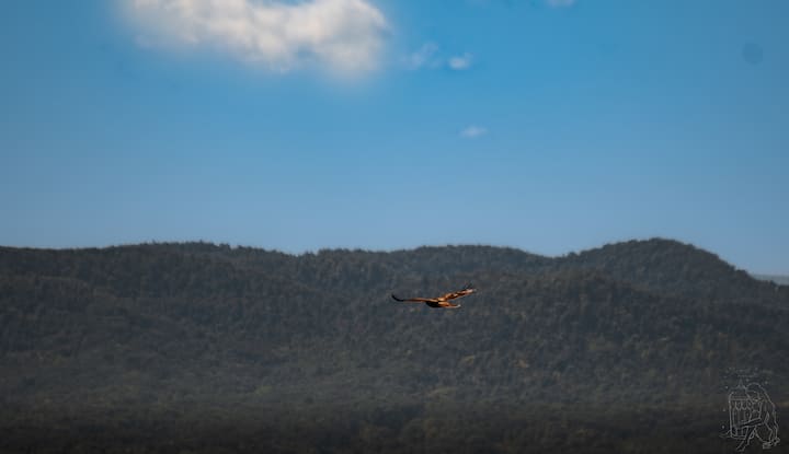 Hilltop Retreat In Powell County - Clay City, KY
