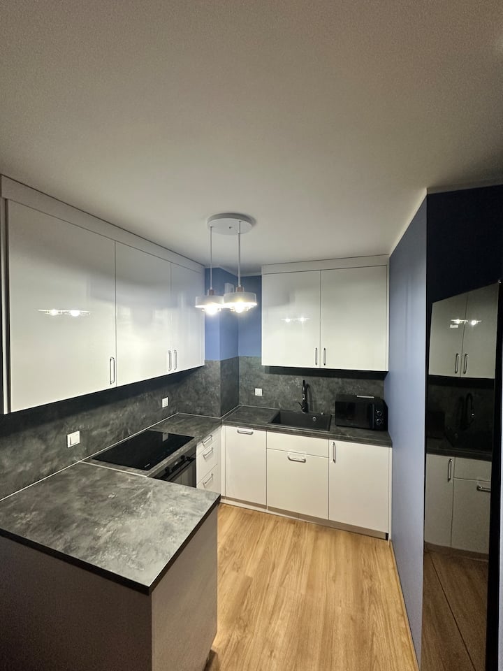 Nowoczesny Apartament Przy ŚRódce - Poznań