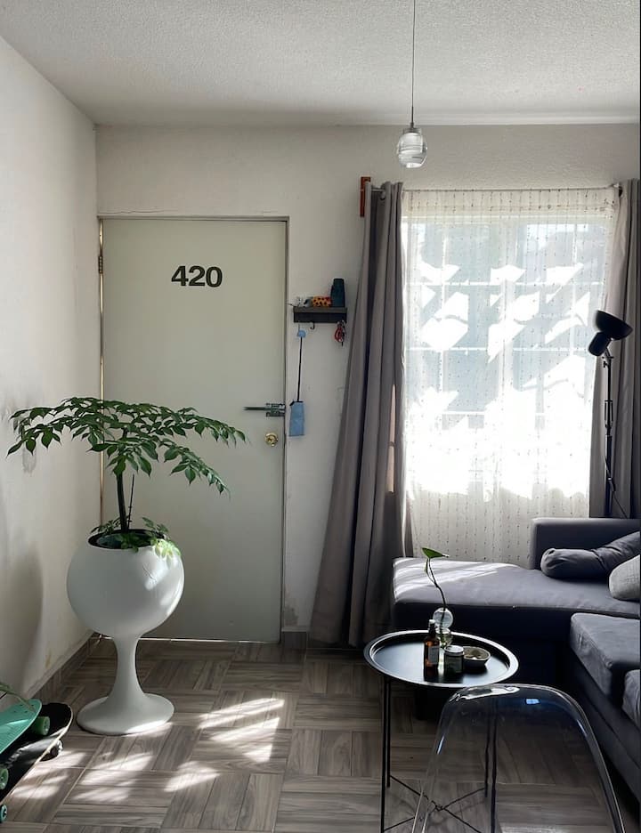 Casa Planta - Pachuca