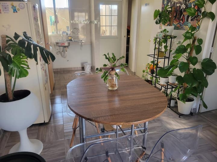 Casa Planta - Pachuca