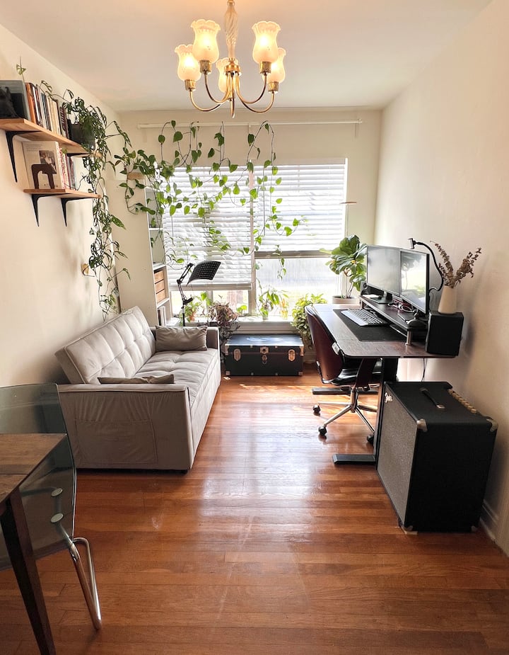 Hyde Park Home Away From Home - Austin, TX