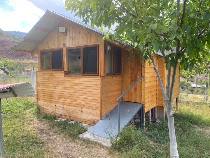 Doğa Ortamında Kendinizi Bulacağınız Değişik Mekan - Artvin