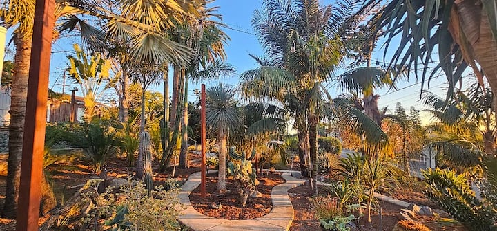 The Jungle Haven - Vista, CA