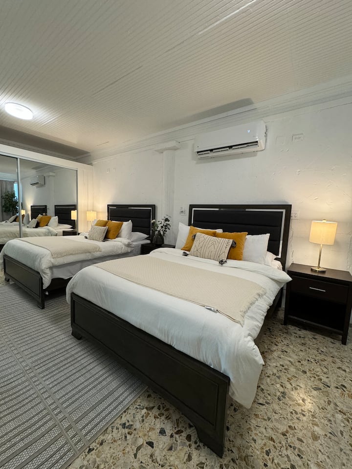 Piñeiro Investment - Vega Alta