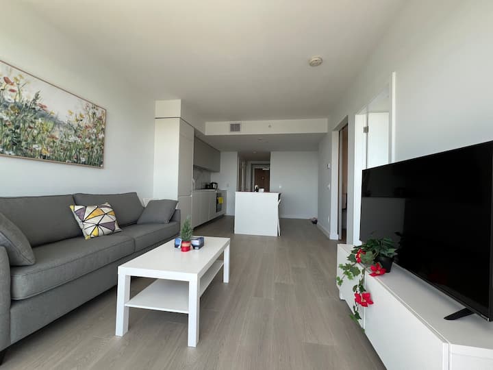 Brand New 2 Br&1 Bt Condo Burnaby Metrotown - Burnaby