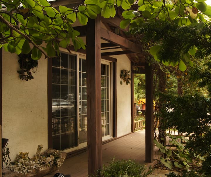 올리브 - 장흥면