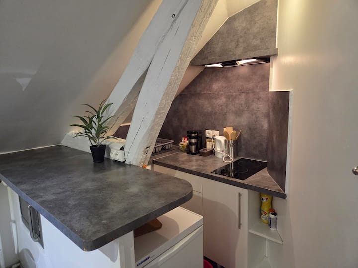 T2 Cosy Hyper Centre - Troyes