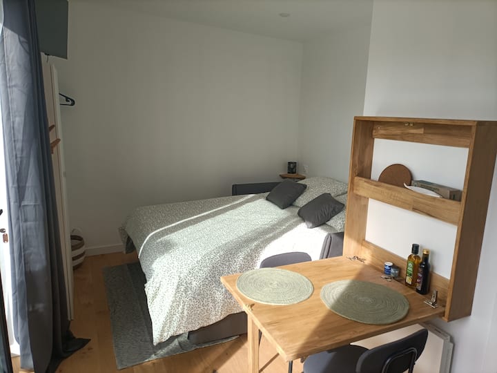 Studio Indépendant - Le Château du Pin