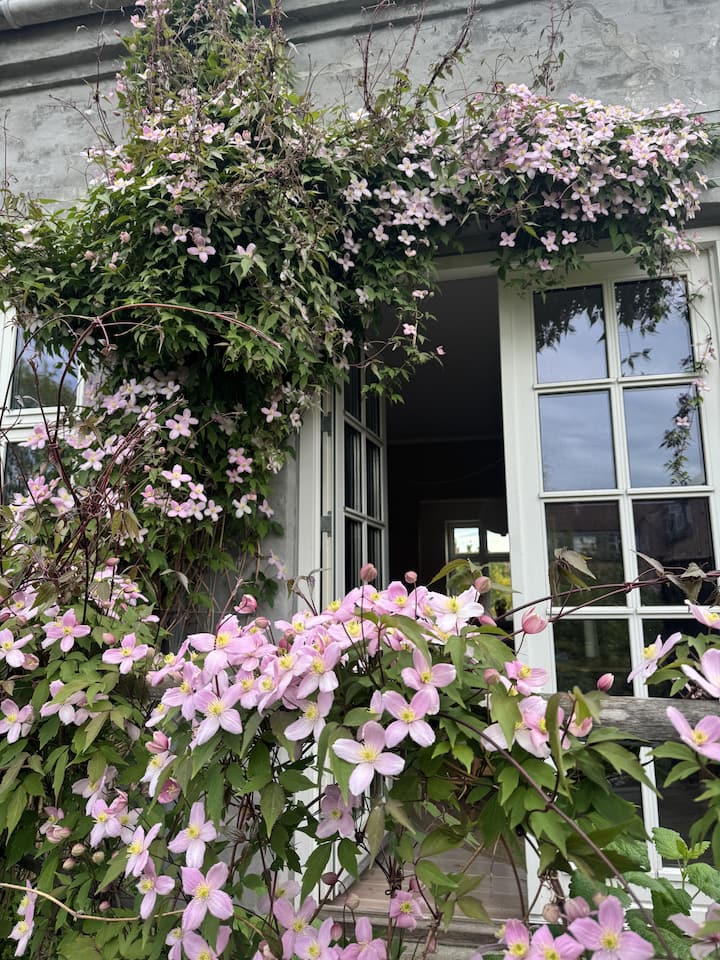 Scandi-townhouse With Garden In Trendy Aarhus Area - Aarhus