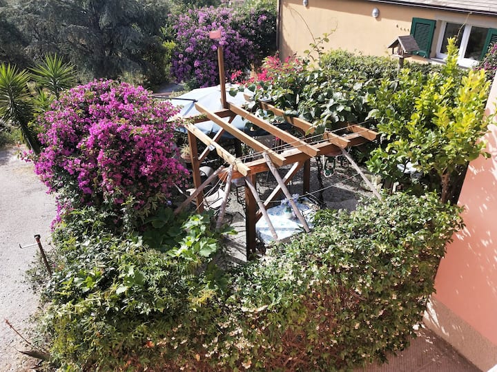 La Bougainville - Levanto