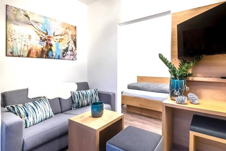 Penthouse Apartment Mit Xxl-terrasse & Wlan - Landshut