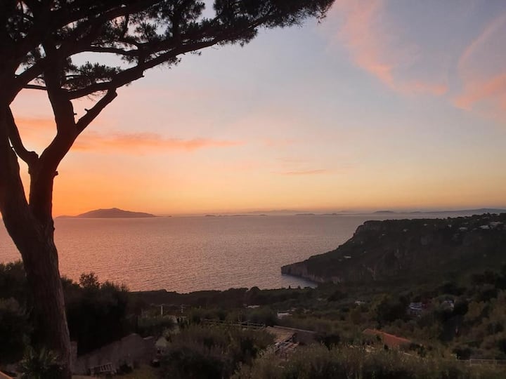 Tra Cielo E Mare: Fantastic Sea View Apartment - Isola di Capri