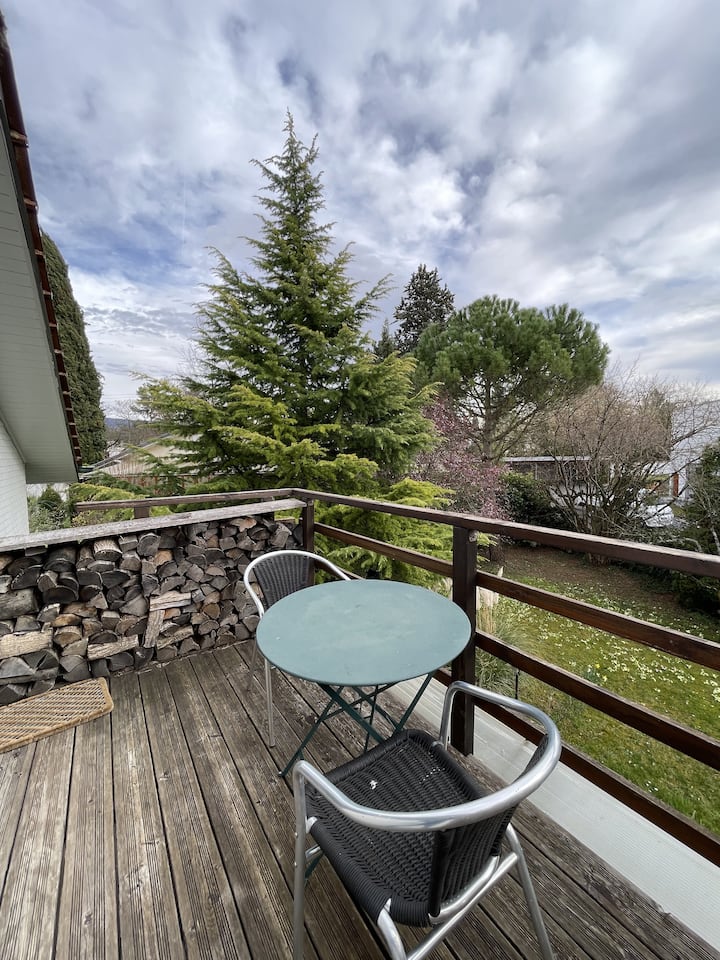 3 Pièces, Charme, Verdure, Genève Rive Gauche - Genève