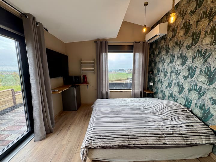 Studio Vue Cathédrale De Strasbourg - Bischwiller