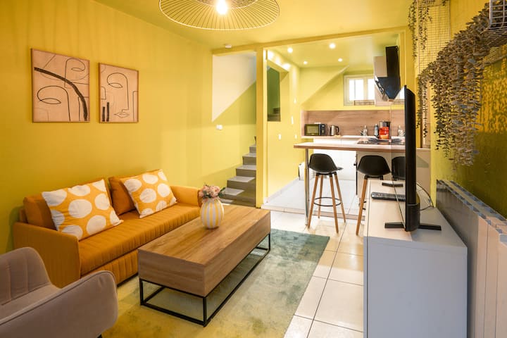 Le Duplex Tricolore - 2 Suites Hyper Centre - Rouen