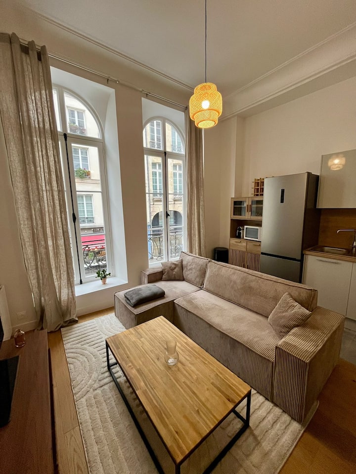 Paris 1er : Bel Appartement Devant Le Louvre - Paris