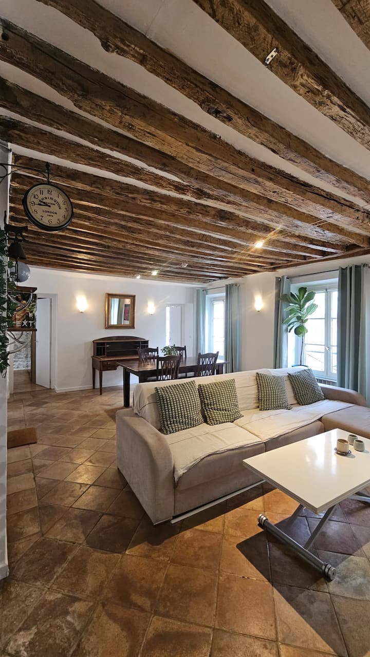 Lumineux Appartement Place Des Vosges - Paris
