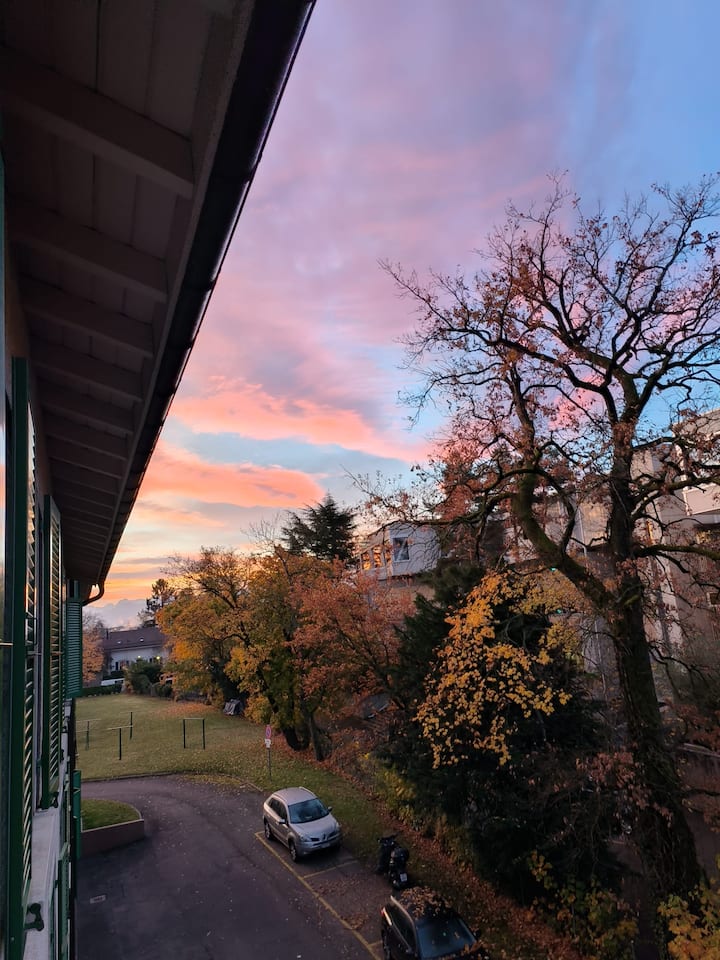 Super Cozy Appartement - Genebra