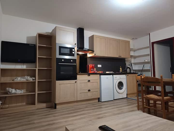 Appartement T2 Meublé Cœur De Ville - Aire-sur-l'Adour
