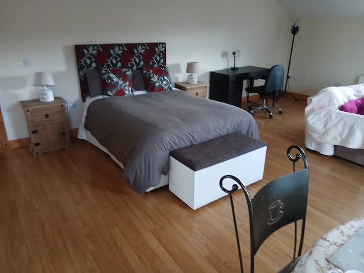 Studio Apartment - Carlow