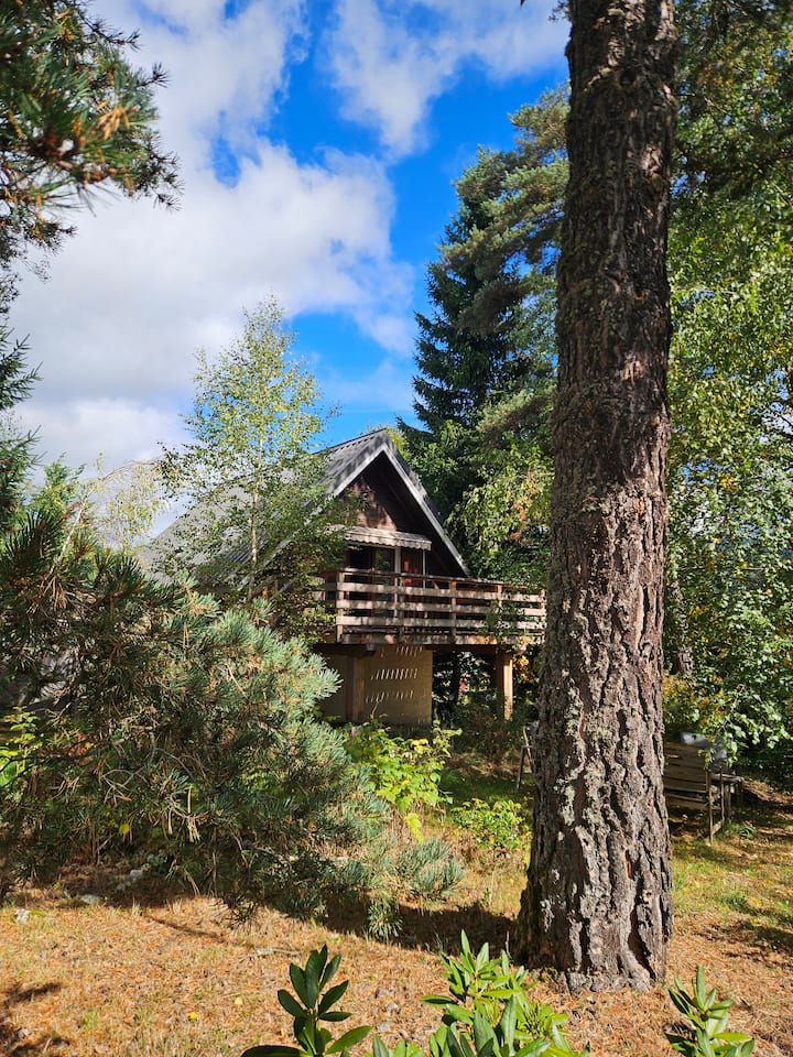Chalet Taïga - Bain Nordique Au Calme En Forêt - Villard-de-Lans