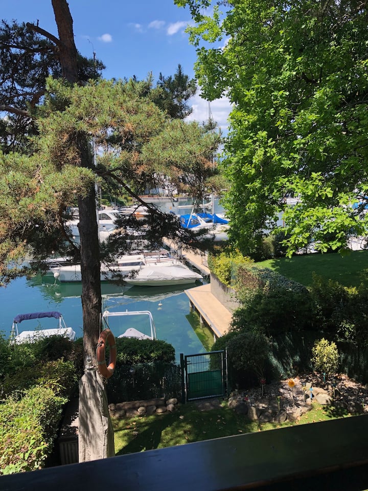 La Mouette De Ripaille - Thonon-les-Bains