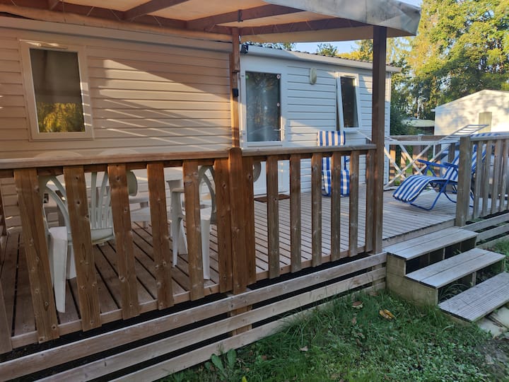 Cabane - Black Forest