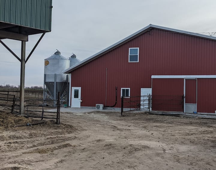 The Cow Barn Sanctuary - Tampa, KS