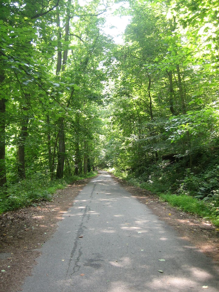 "Woodland Studio" Terrace Apartment - Arnold