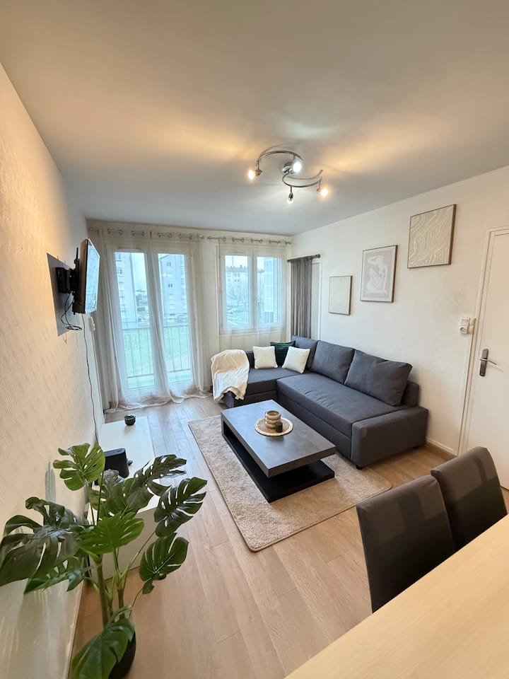 Apprmt Prestigieux Et Lumineux Proche Centre Ville - Troyes