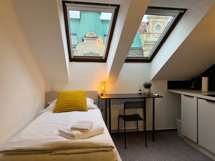 Small Studio For Solo Travelers Close To Center - プラハ