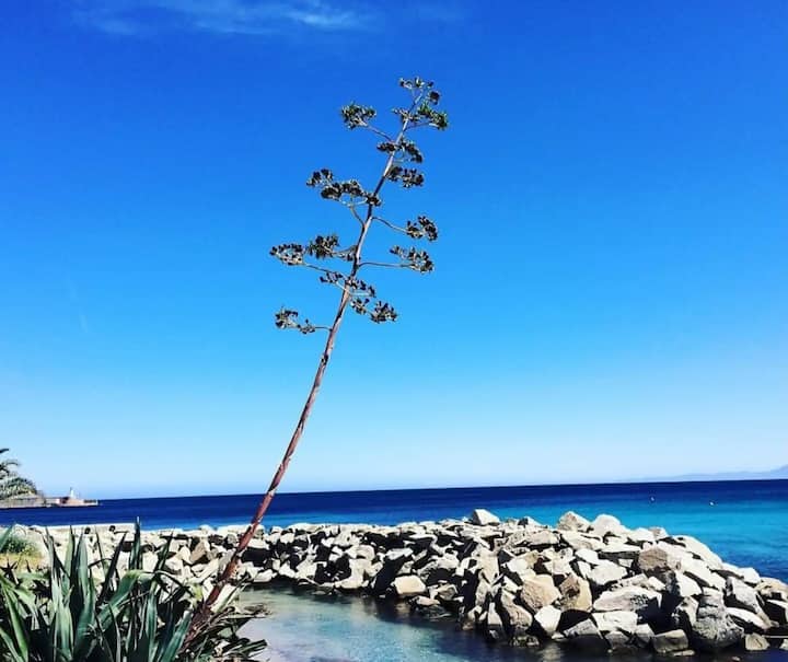 Appartement Climatisé à îLe Rousse - Isola Rossa