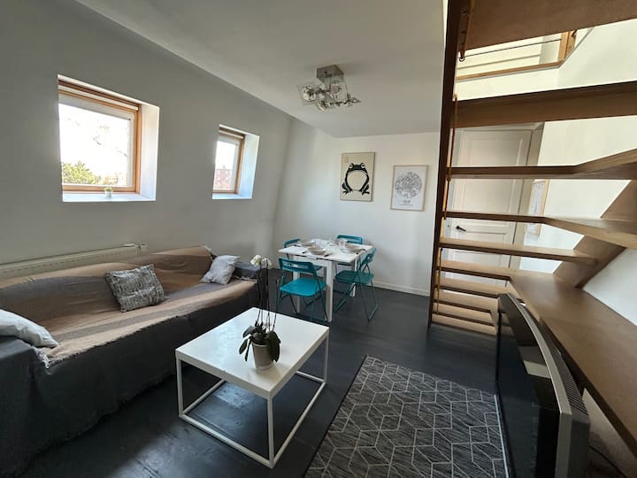 Bel Appartement 4 Personnes Ronchin/proche Lille - Lesquin