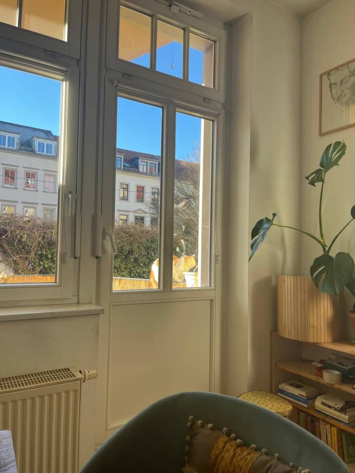 Helle, Gemütliche Wohnung Mit Freigänger-katze - Dresda