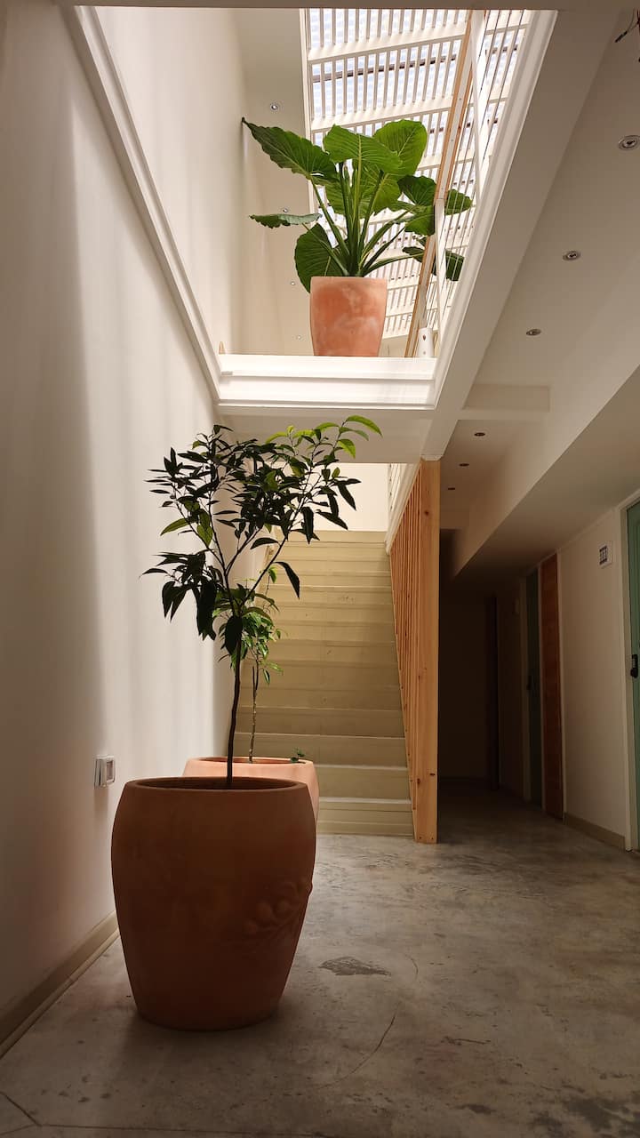Loft/llolleo - San Antonio
