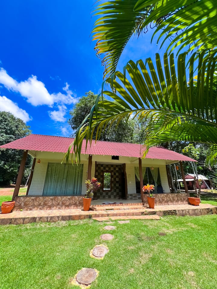 Quarto Do Jardim - Araguaína