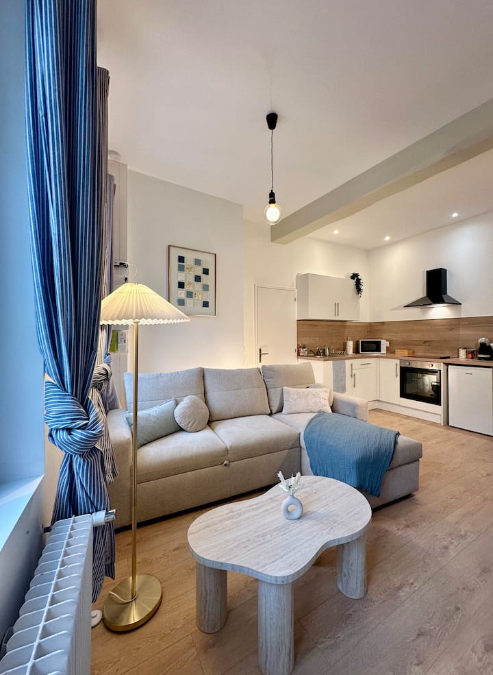 L'écrin Bleu|cœur De Ville + Parking Q-park Inclus - Chartres