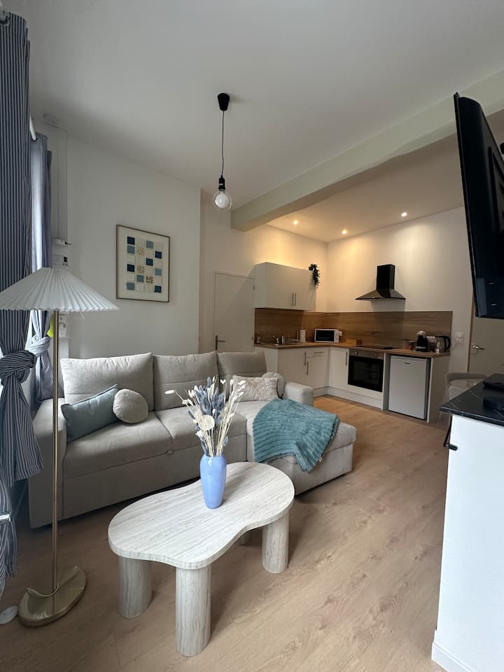 L'écrin Bleu|cœur De Ville + Parking Q-park Inclus - Chartres