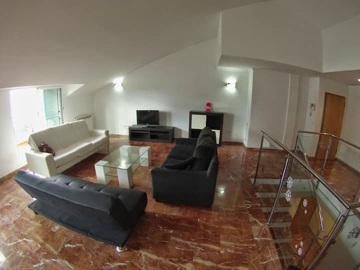 5h - Europa Viii | 12-14 Personas - Oliva