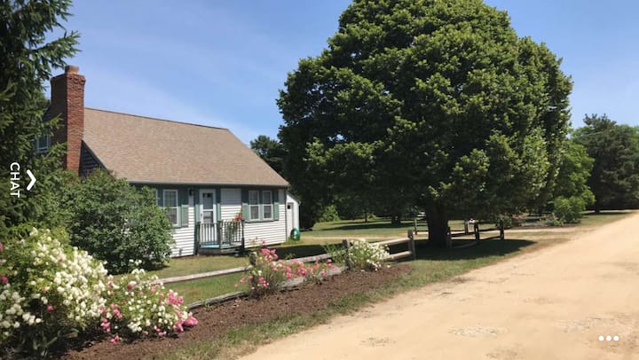 Sea Glass Beach Walker - Eastham, MA