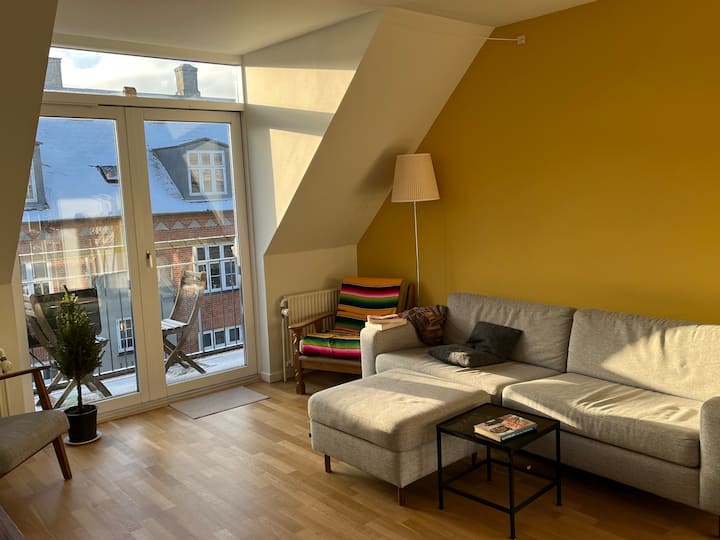 Bright Spacious Penthouse In The Heart Of Nørrebro - Copenhagen