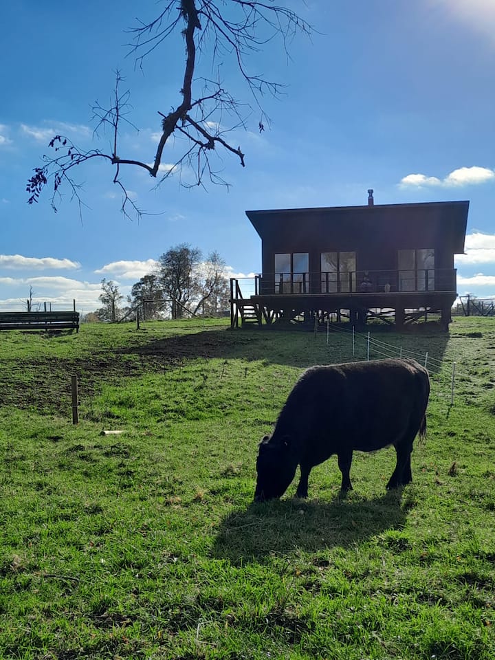 Cabañas Lomas De Barro Blanco - Osorno