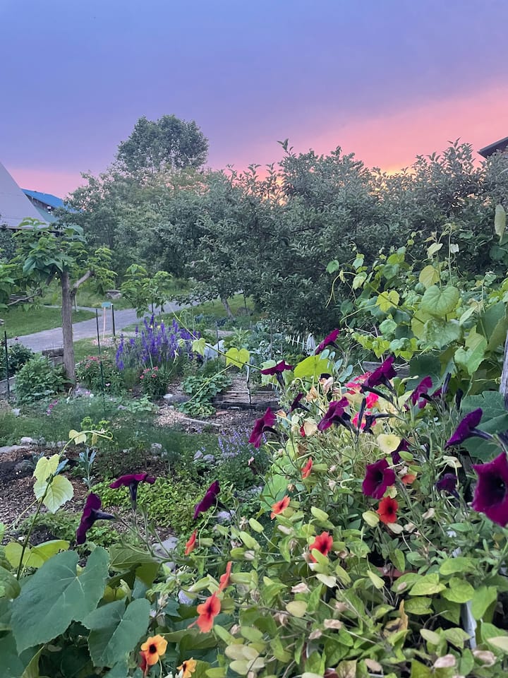 Quiet Song|suite For Ic/cornell Grads 3-night Min. - Ithaca, NY