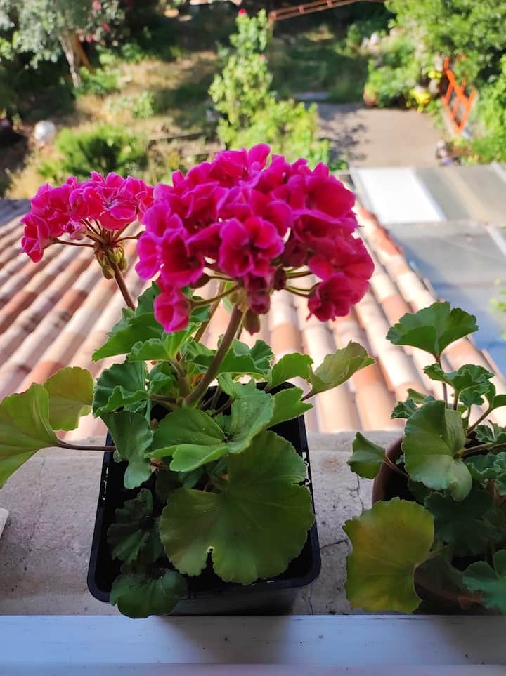 Chambre Centre-ville : Parfait Pour Les Cyclistes! - Tain-l'Hermitage