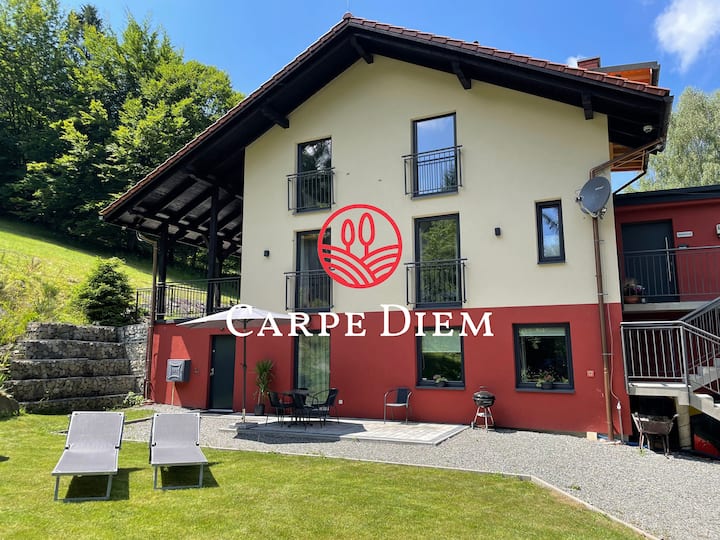 Carpe Diem Superior Apartment Mit Waldblick - Wisła