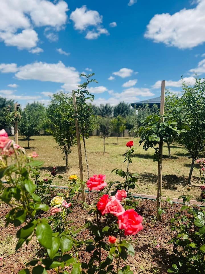 Geniş Bahçeli Villa - Ankara