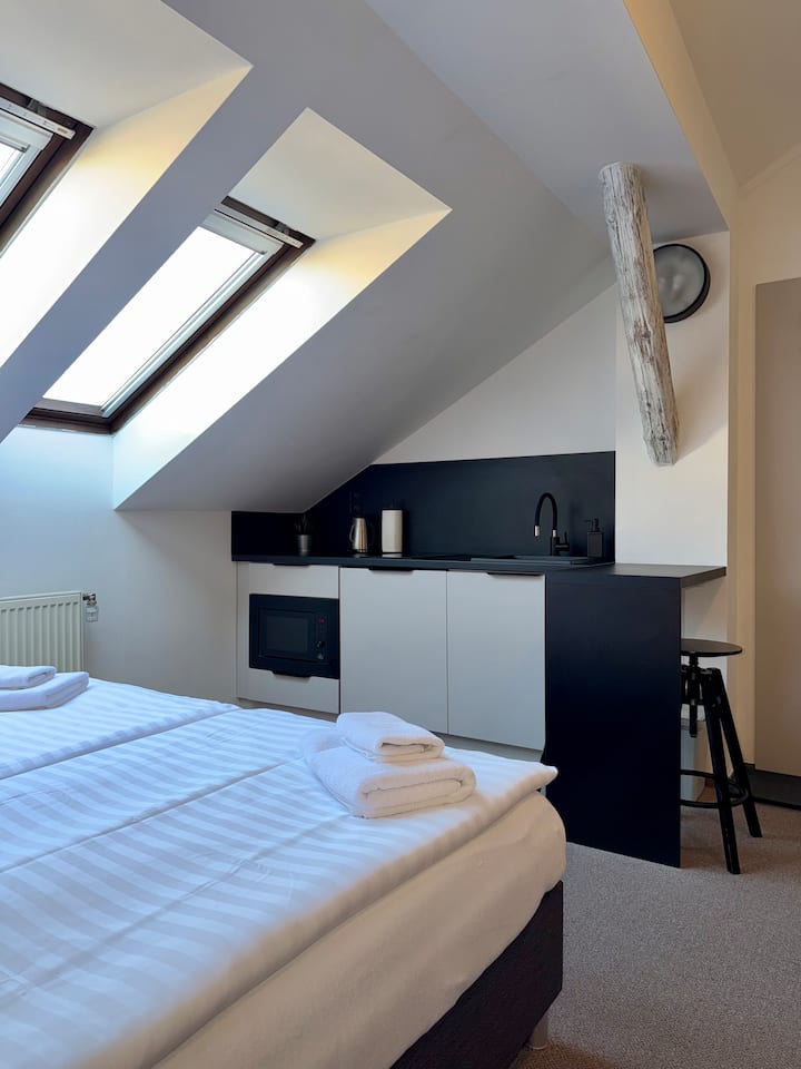 Central Studio - 10 Mins Walk To Wenceslas Square - Prague